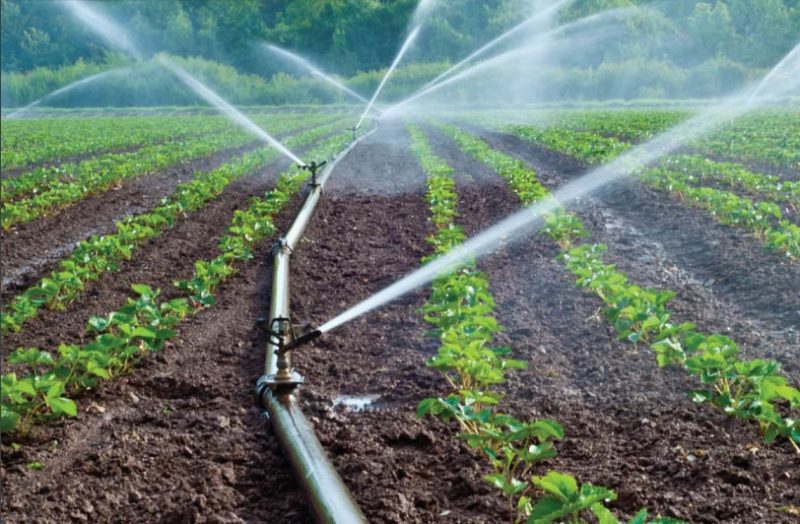 Soil Health and Organic Farming Guidebooks - Organic Farming Research ...