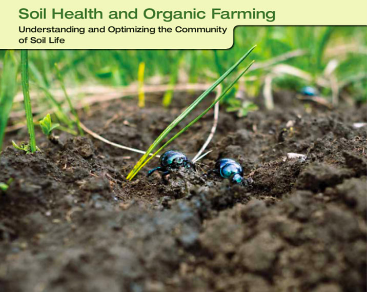 New Soil Health and Organic Farming Guide Examines Soil Life - Organic ...