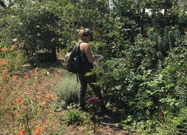 OFRF Accepting Letters of Intent for 2020 Grant Funding - Organic ...