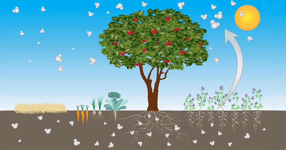 Healthy soils release fewer greenhouse gases - Organic Farming Research ...