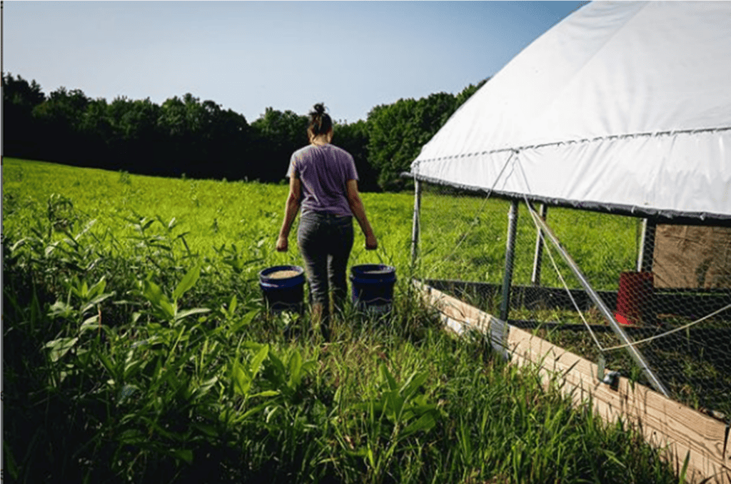 Mayday Farm - Organic Farming Research Foundation