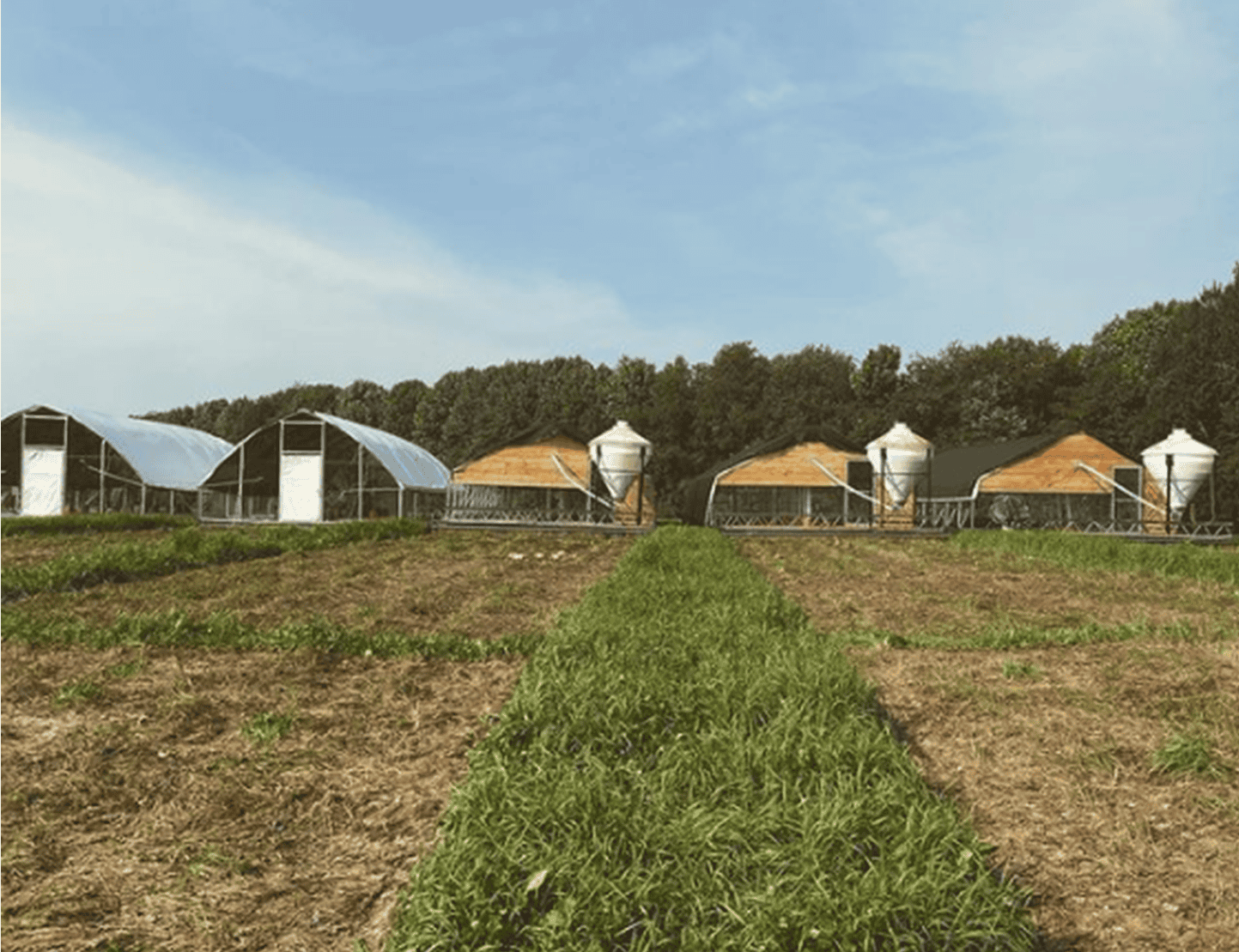 Mayday Farm - Organic Farming Research Foundation