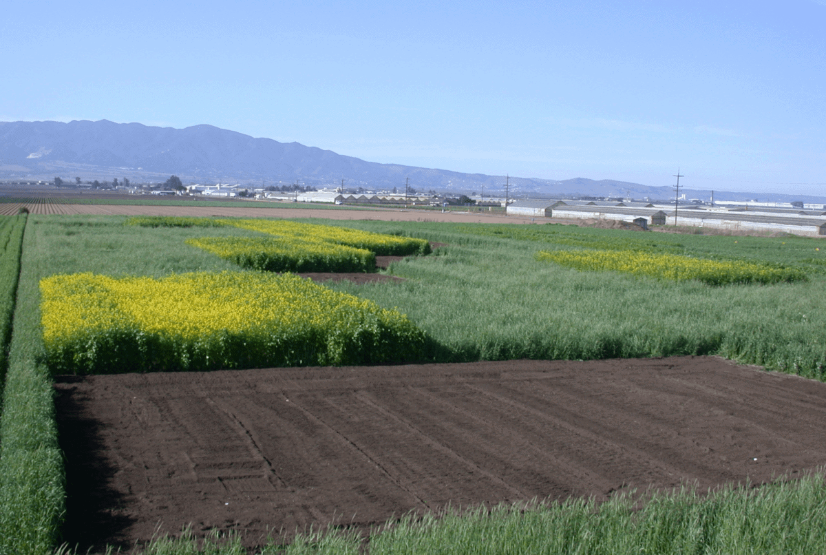 Championing Organic Research - Organic Farming Research Foundation