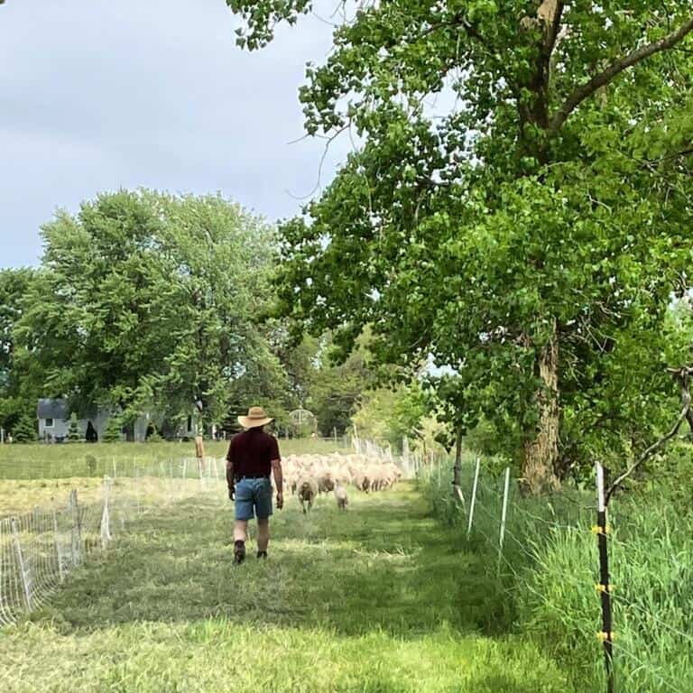 Shady Side Farm - Organic Farming Research Foundation