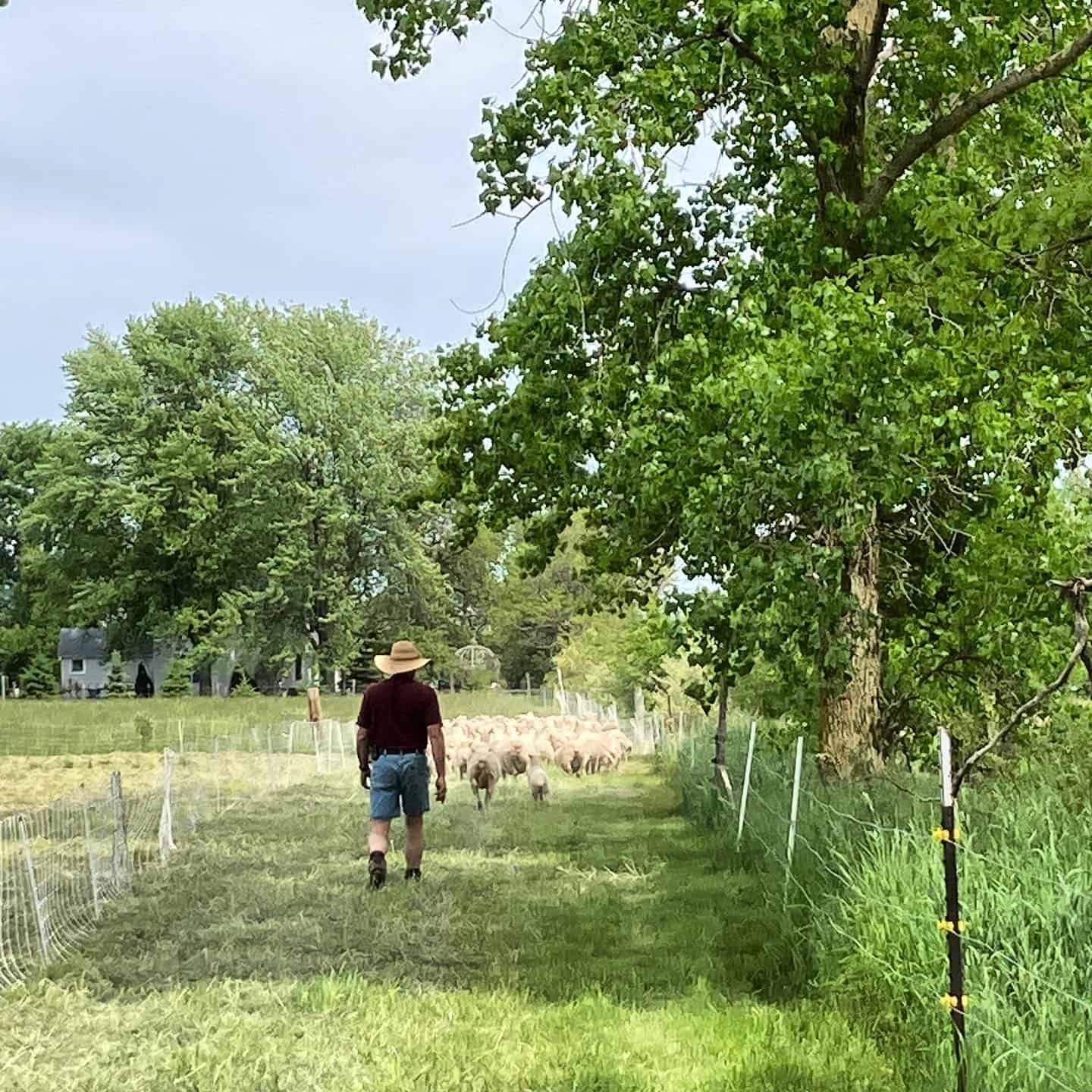 Shady Side Farm - Organic Farming Research Foundation