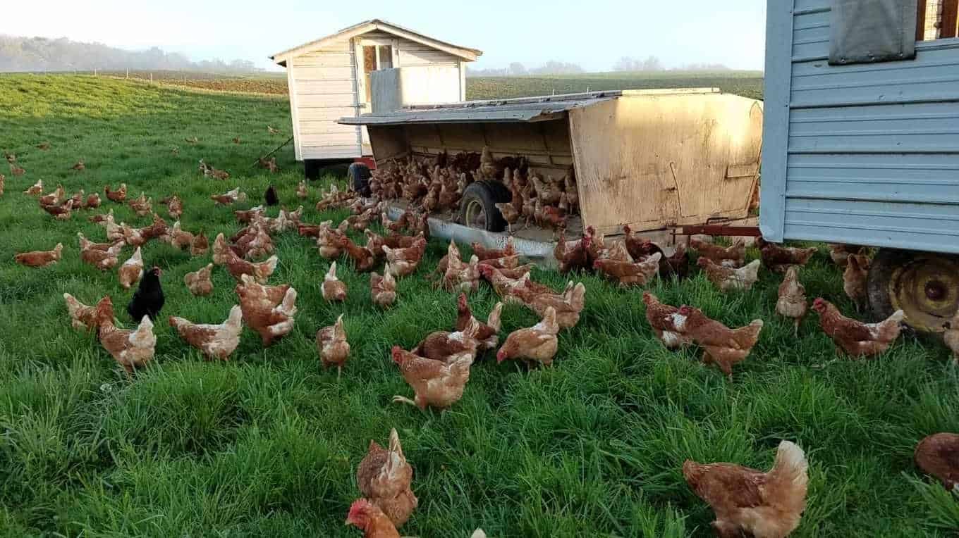 Hidden Hollow Farm - Organic Farming Research Foundation