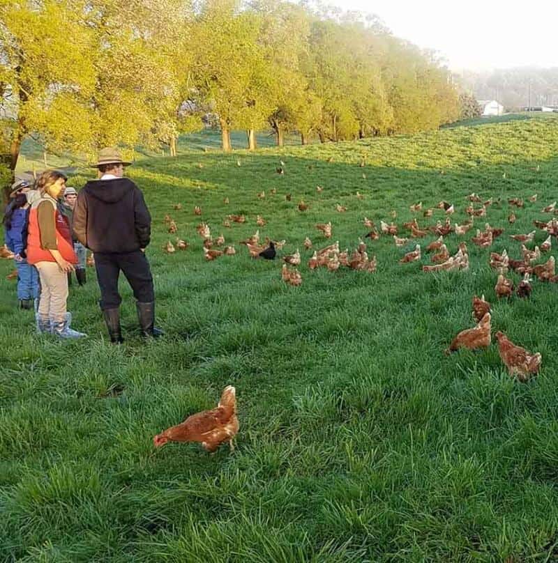 Hidden Hollow Farm - Organic Farming Research Foundation