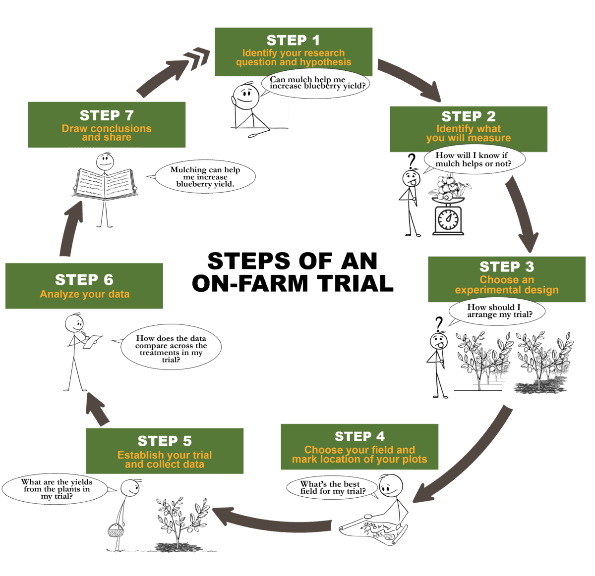 Farmer-Led Trials Program - Organic Farming Research Foundation
