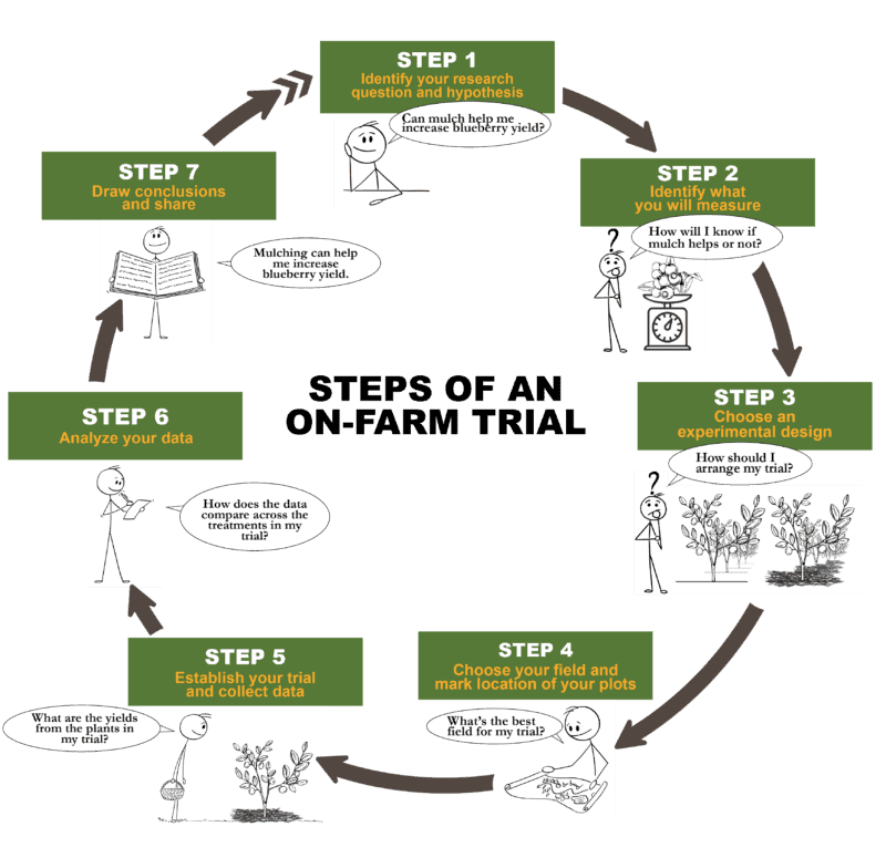 Farmer Led Trials Program - Organic Farming Research Foundation