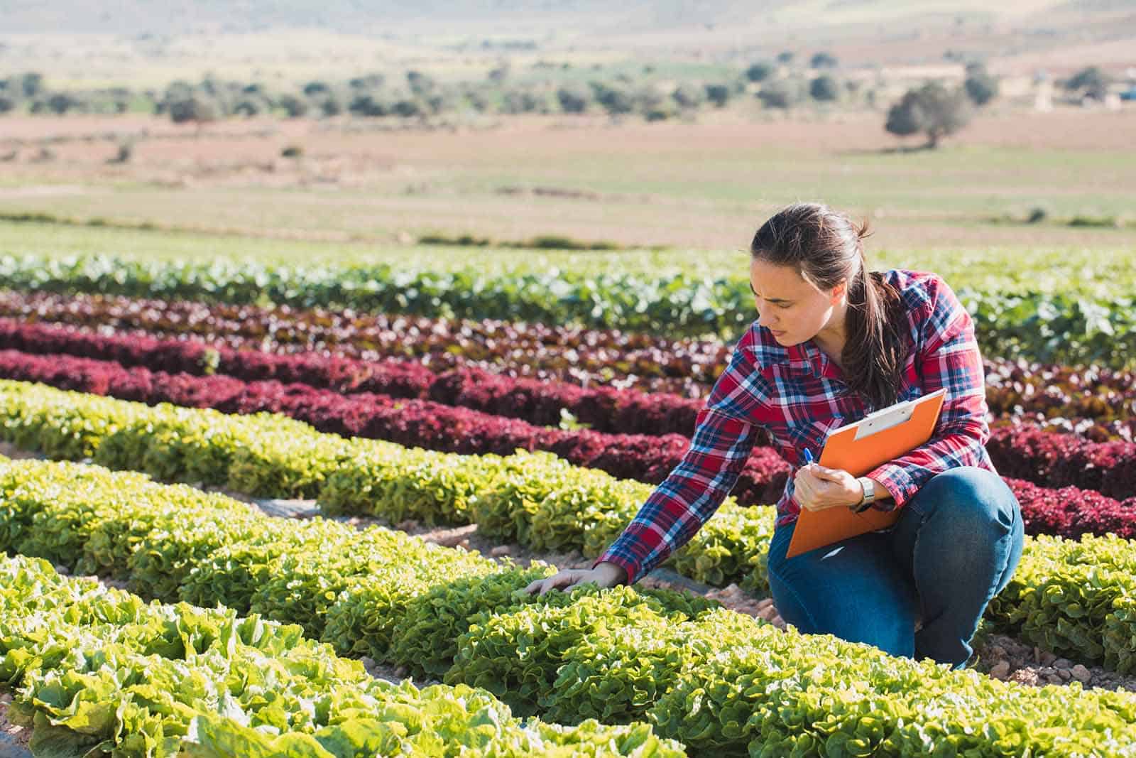 Funding On-Farm Innovation: SARE Farmer/Rancher Grants - Organic ...
