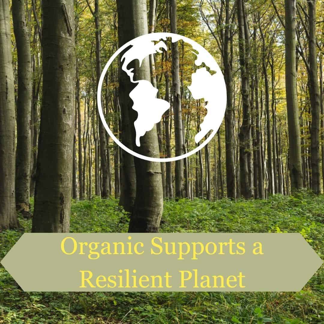 Organic is Regenerative - Organic Farming Research Foundation