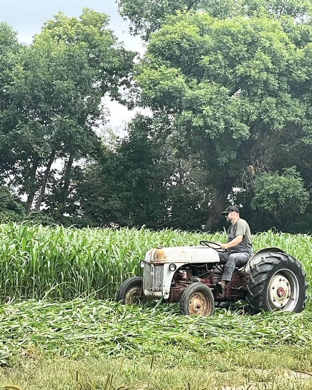Farmer-Led Trials Program Spotlight: Colby Farms - Organic Farming ...
