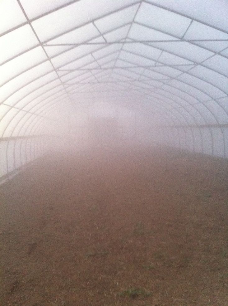 What to Know about High Tunnels for Vegetable Production in the ...