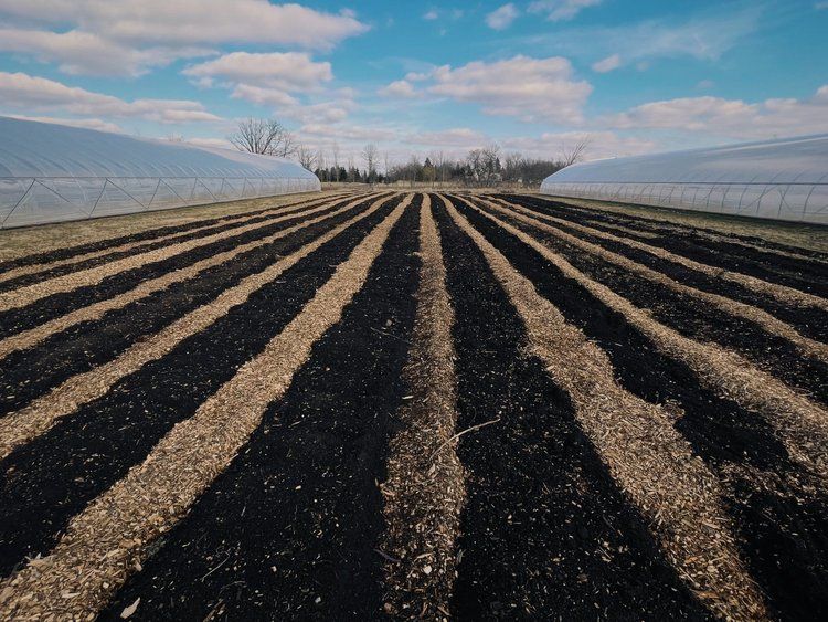 Farmer-Led Trials Program Spotlight: Green Things Farm Collective ...