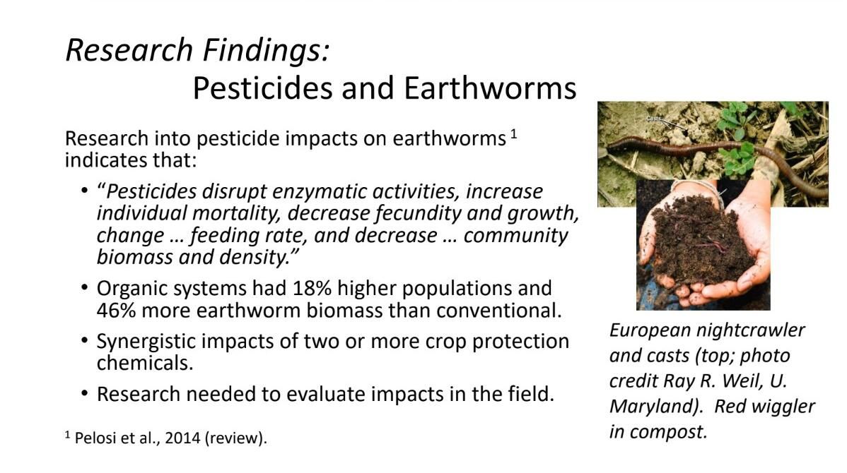 Understanding the Impact of Herbicides and Synthetic Fertilizers on ...