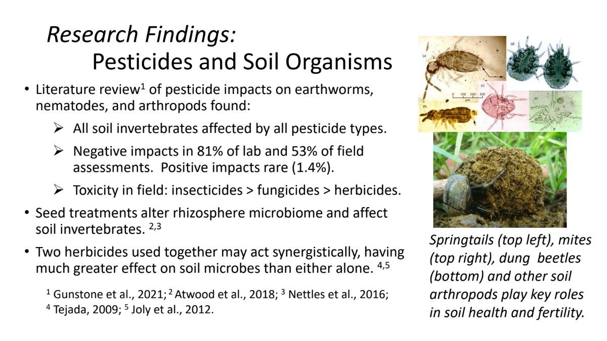 Understanding the Impact of Herbicides and Synthetic Fertilizers on ...